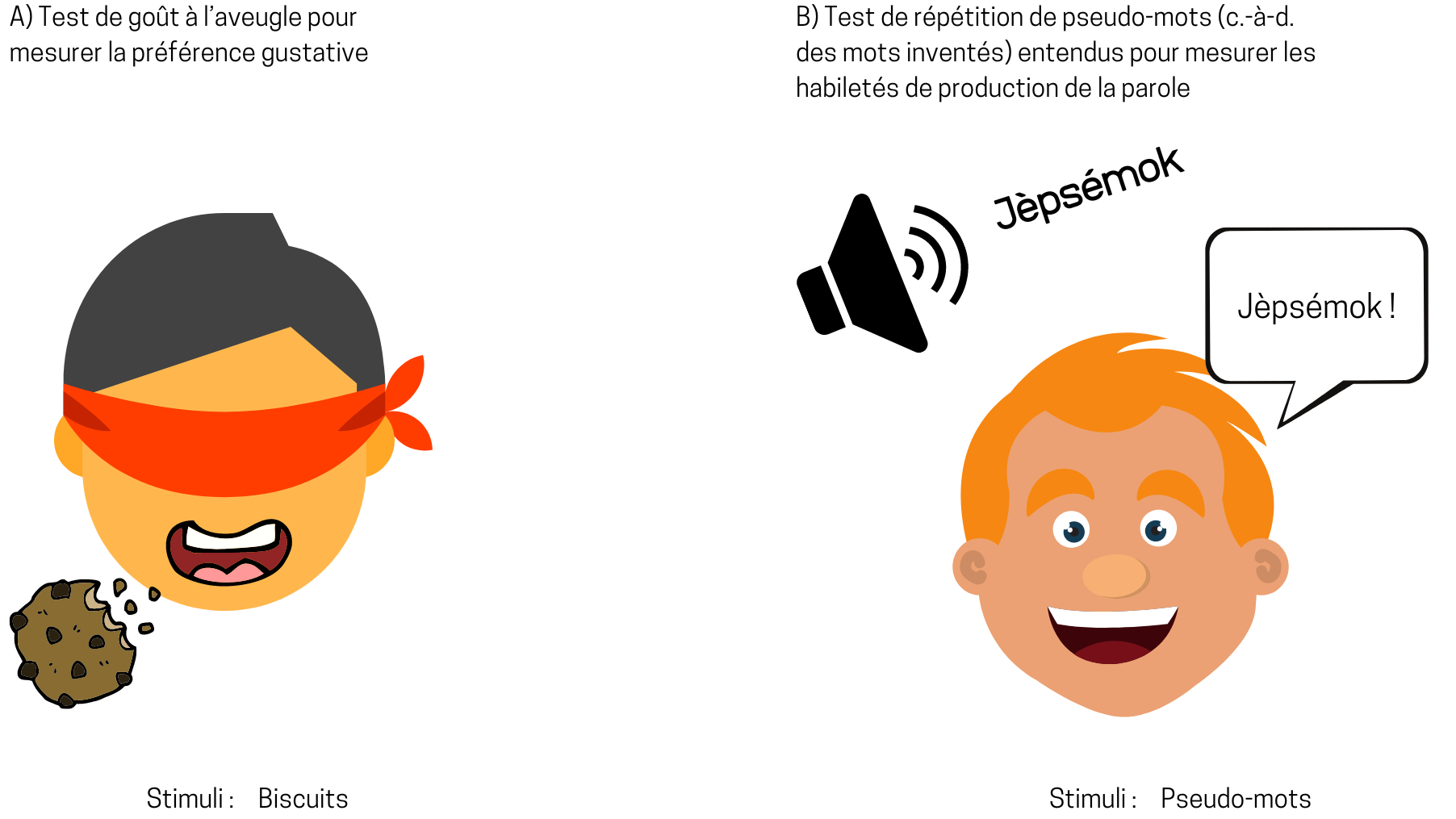 Comment créer une expérience scientifique sur le langage ? – Speechneurolab