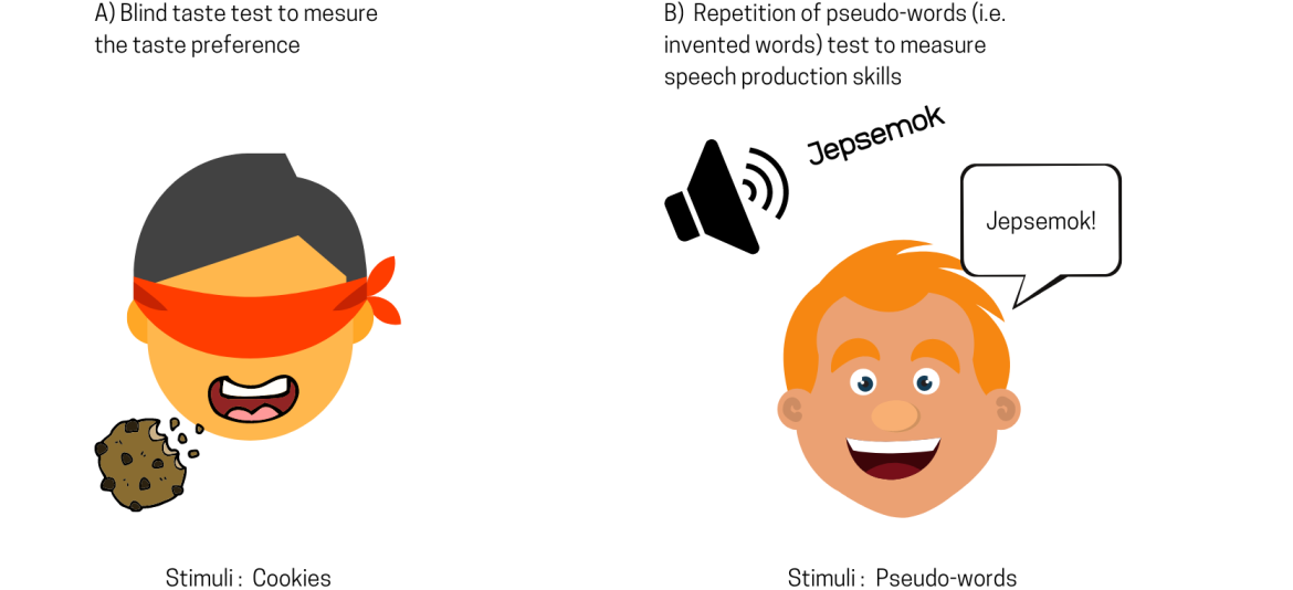 How are language experiments created? – Speechneurolab