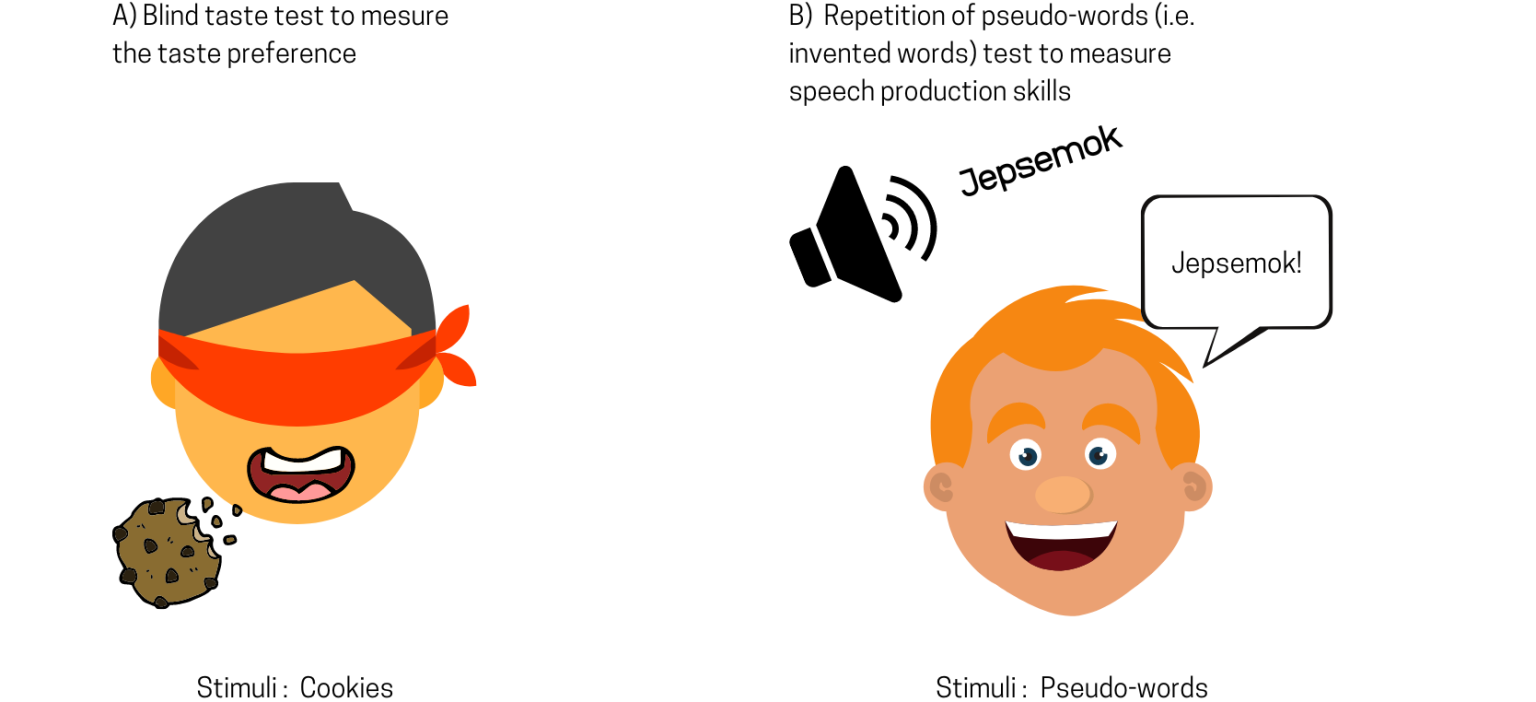 How are language experiments created? – Speechneurolab