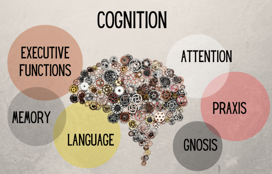 Cognitive functions – Speechneurolab
