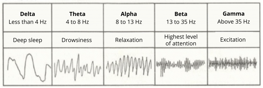 Electroencephalography (EEG) – Speechneurolab