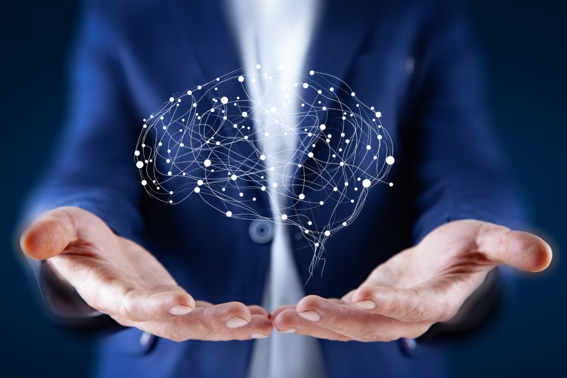 The anatomy of the human brain – Speechneurolab