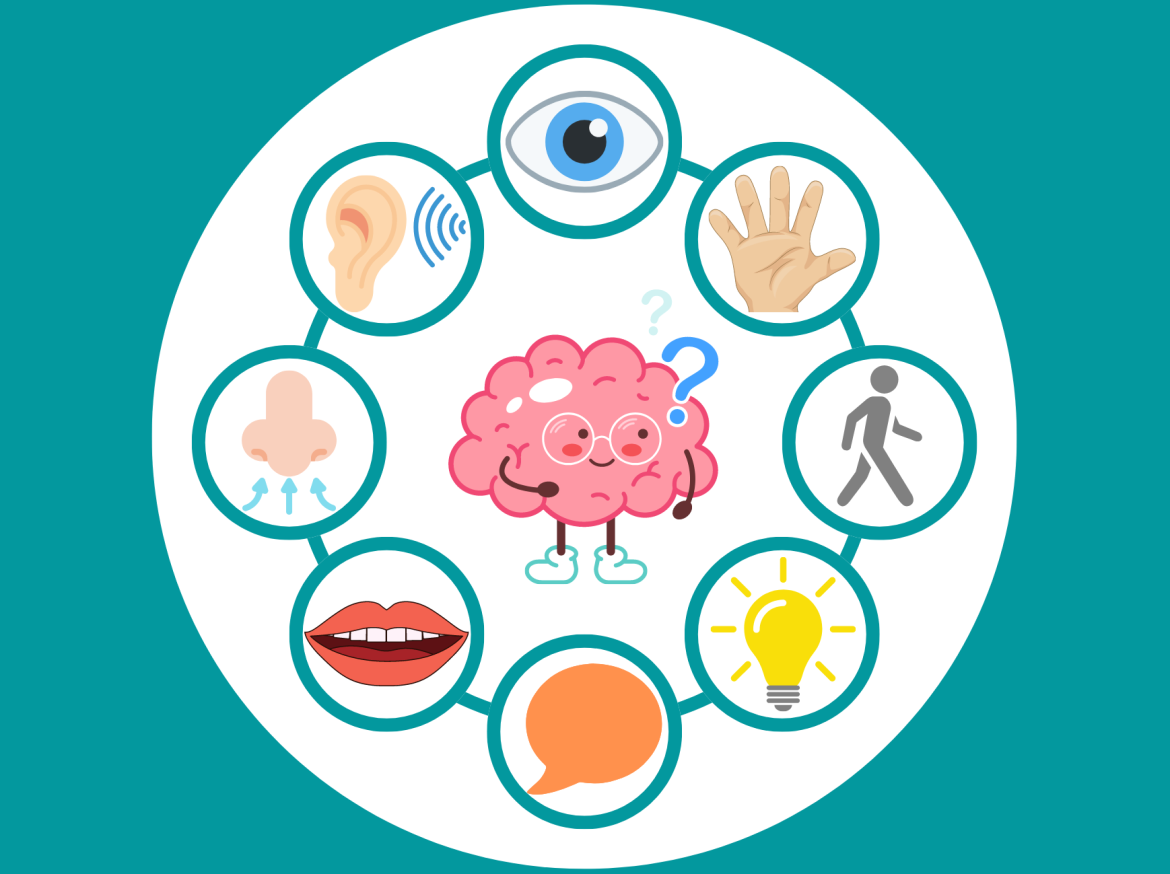 How does the human brain work? – Speechneurolab
