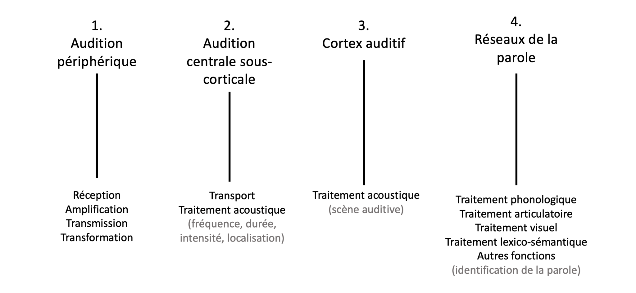 La perception de la parole : une faculté complexe – Speechneurolab