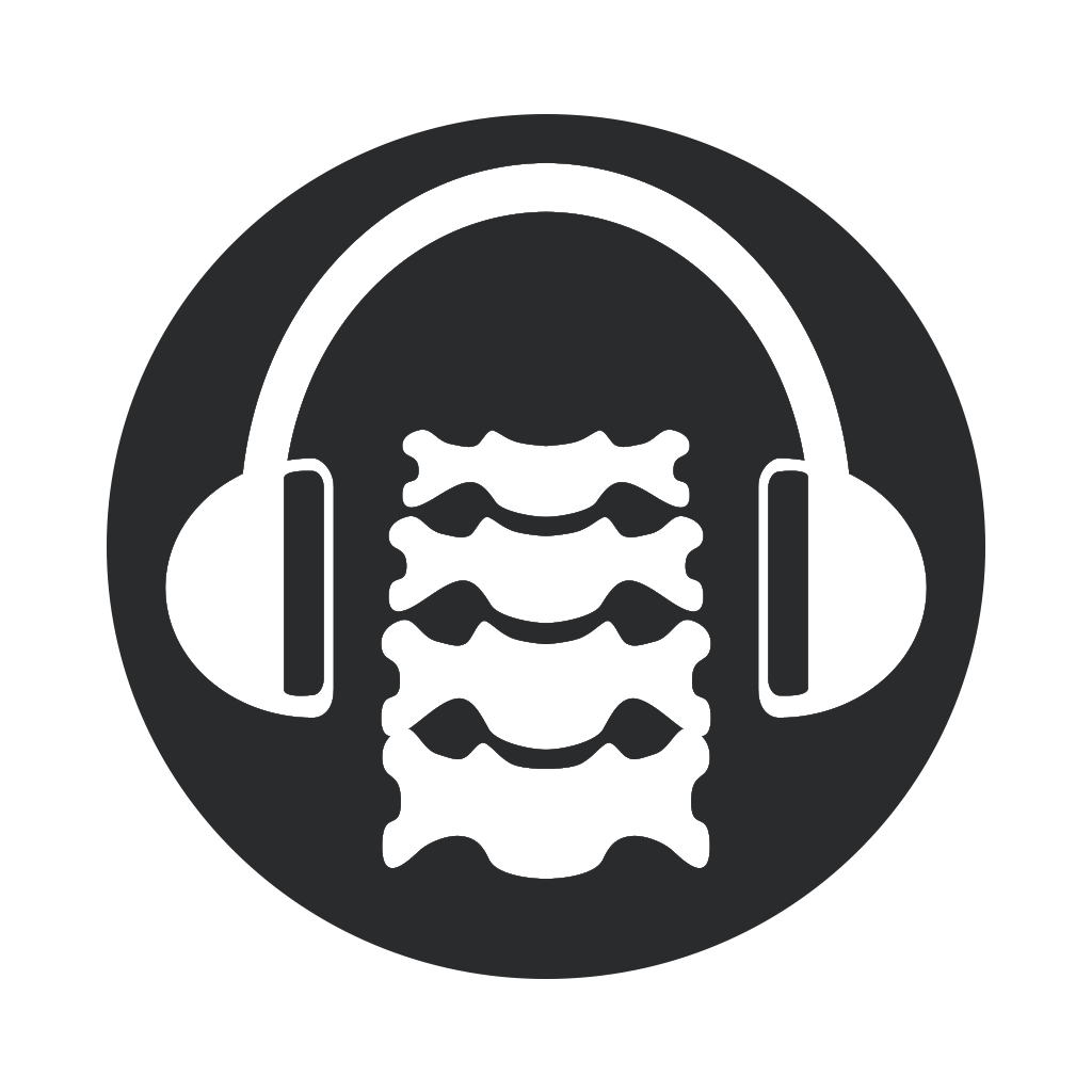 Audiology and the work of audiologists – Speechneurolab