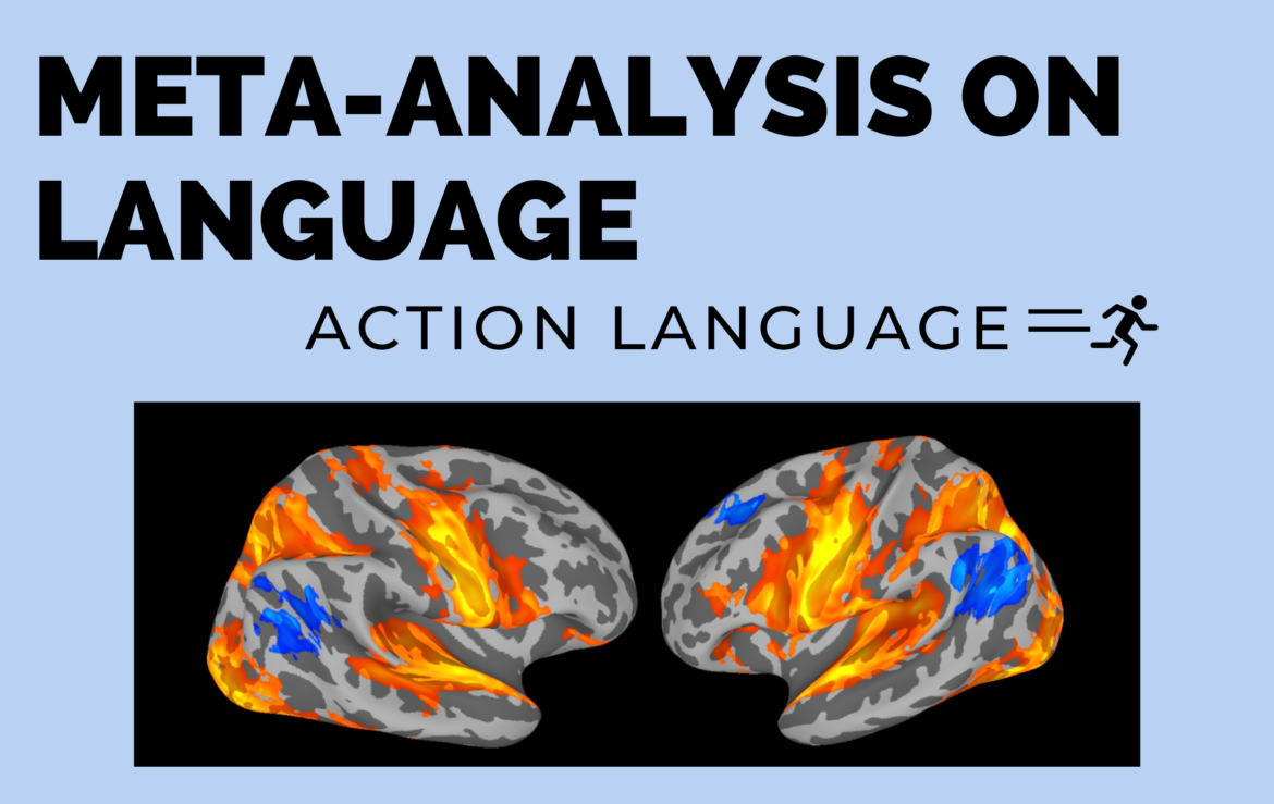Meta-analysis on language – Speechneurolab