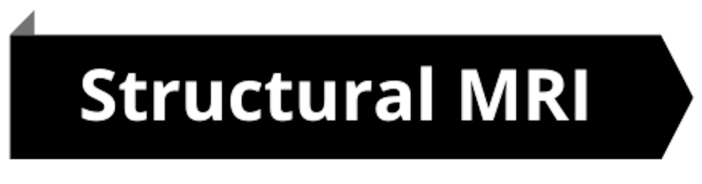 Aging and brain volume – Speechneurolab