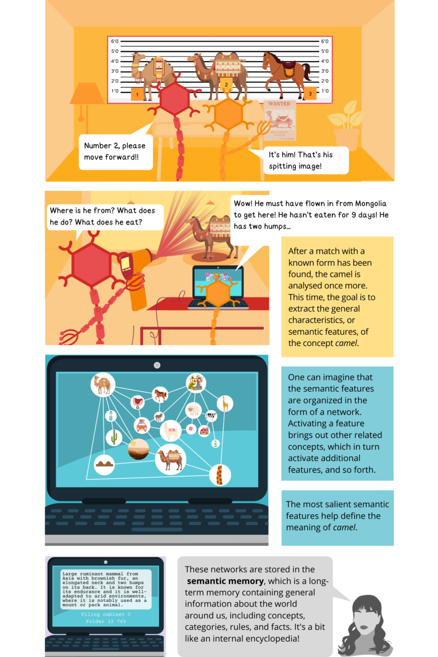 Comic strip about speech – Speechneurolab