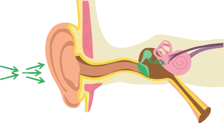 Speech Perception in Noise: Facilitatory Mechanisms of the Peripheral ...