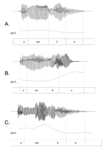 What is prosody? – Speechneurolab