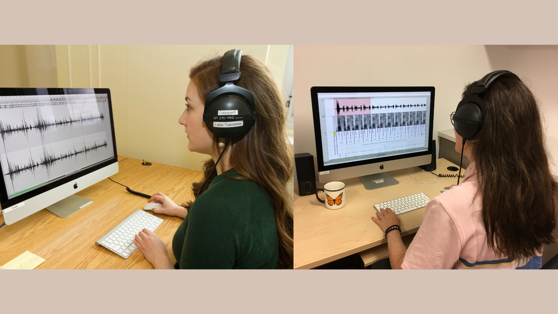 What is a linguist? – Speechneurolab