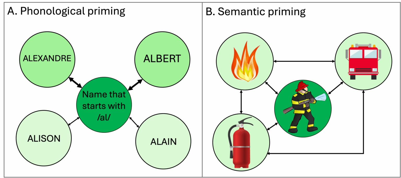 Priming: A Window into the Organization of Our Brain! – Speechneurolab